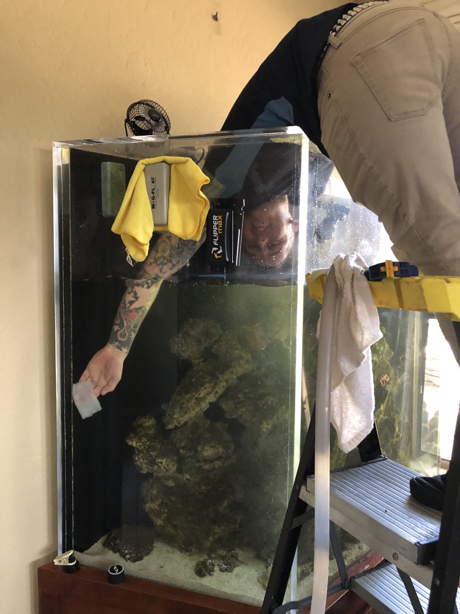 Aquarium Cleaning Service & Fish Tank Cleaners Phoenix AZ | LeCorals